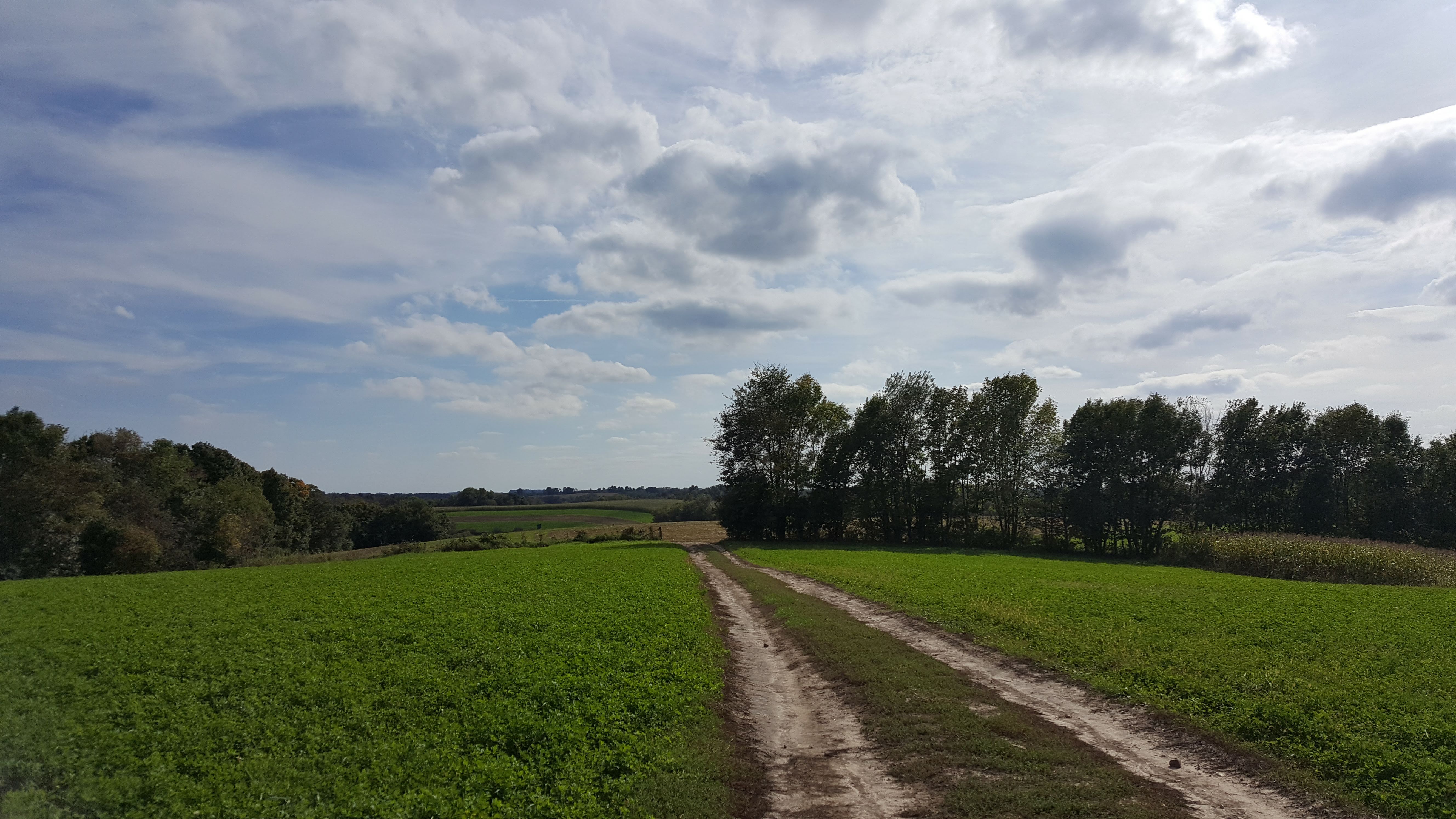 Crops, Pasture, and Forest – Parker Farmstead, a Family Farm since 1870