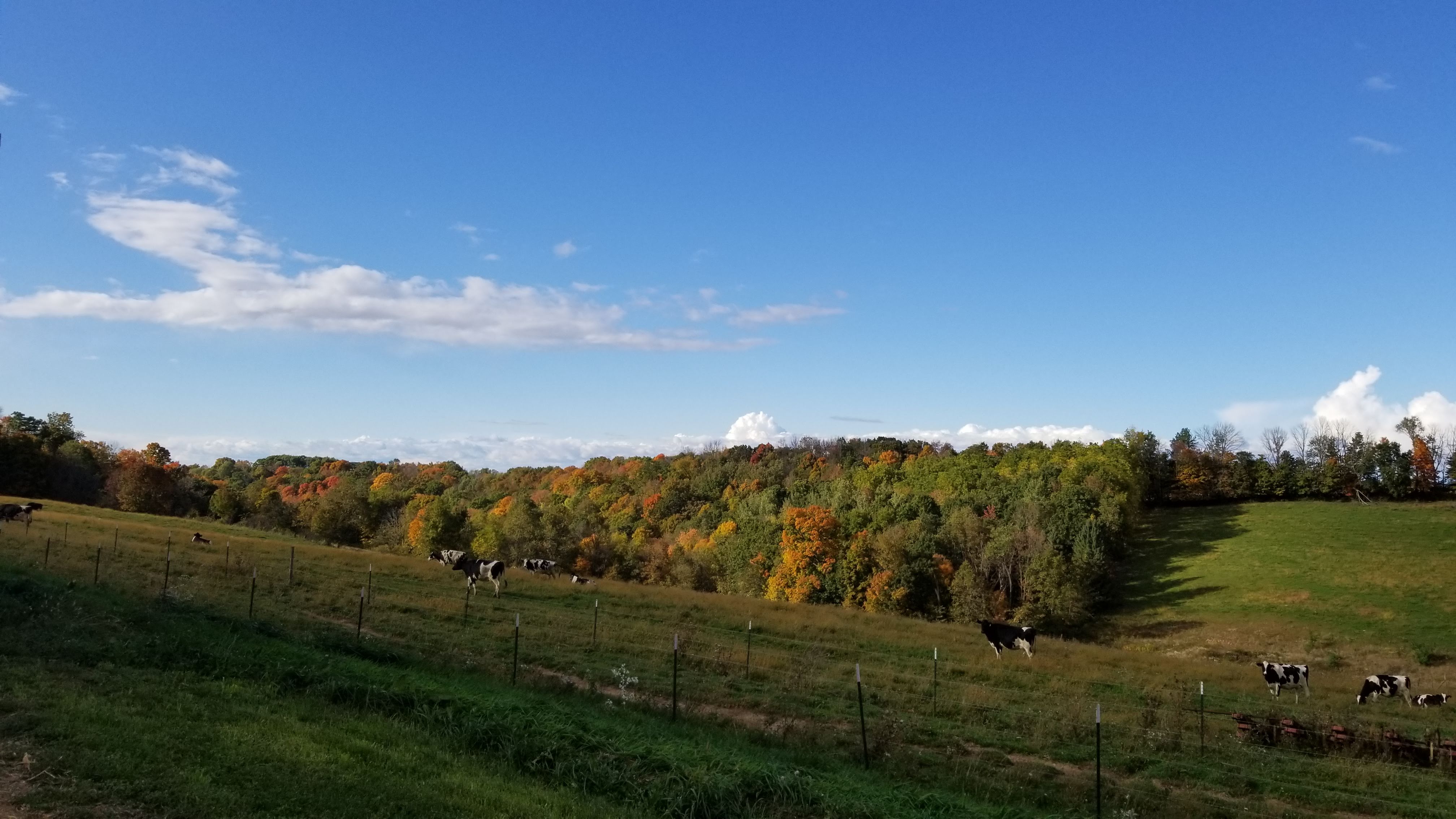 Crops, Pasture, and Forest – Parker Farmstead, a Family Farm since 1870
