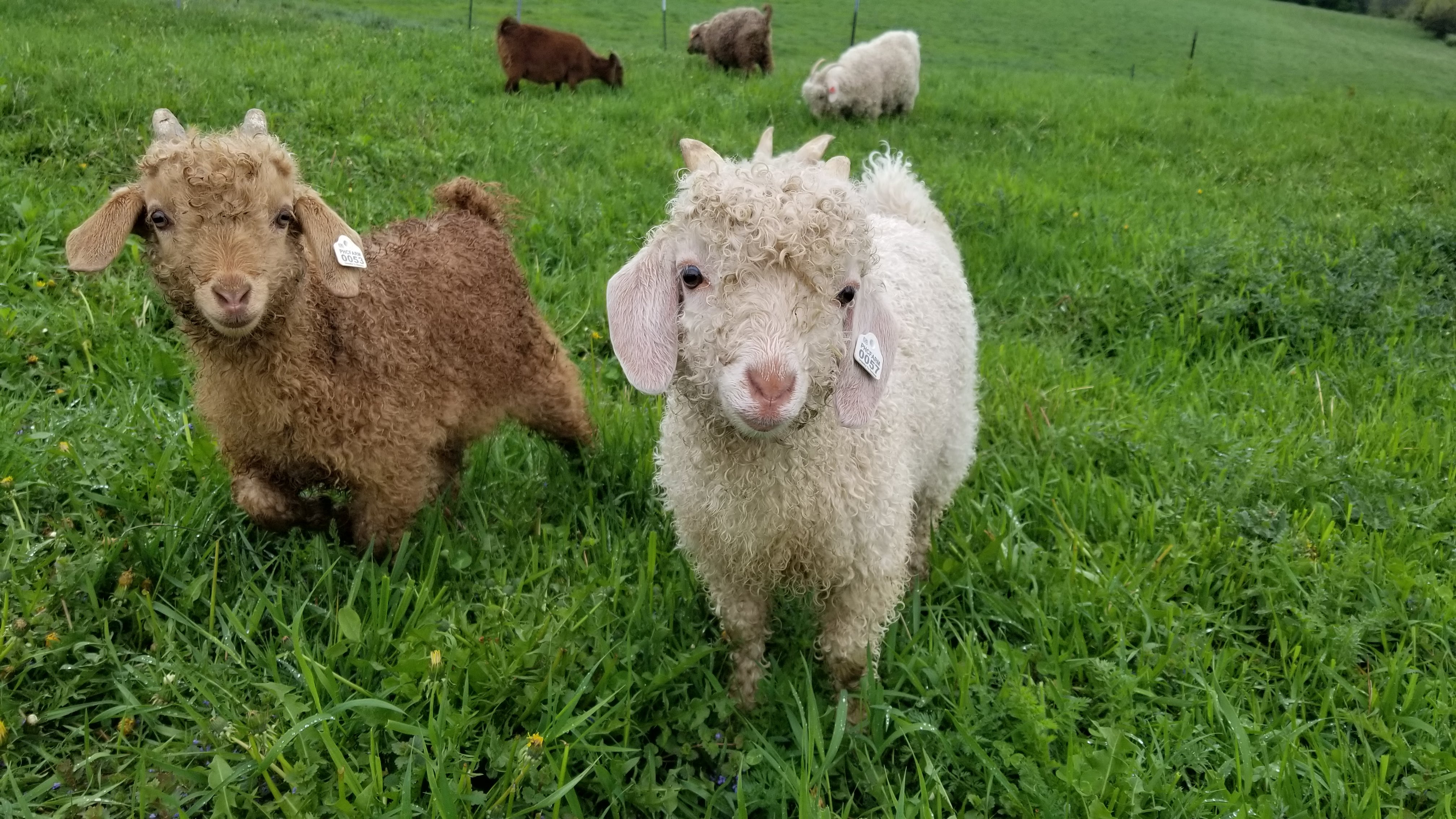 Hope – Parker Farmstead, a Family Farm since 1870